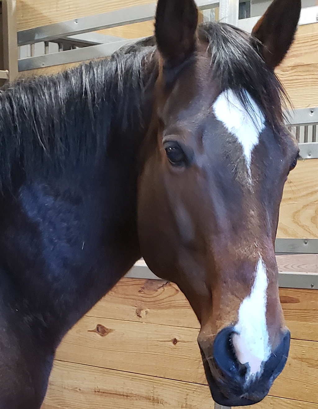 About Us - MKE Urban Stables