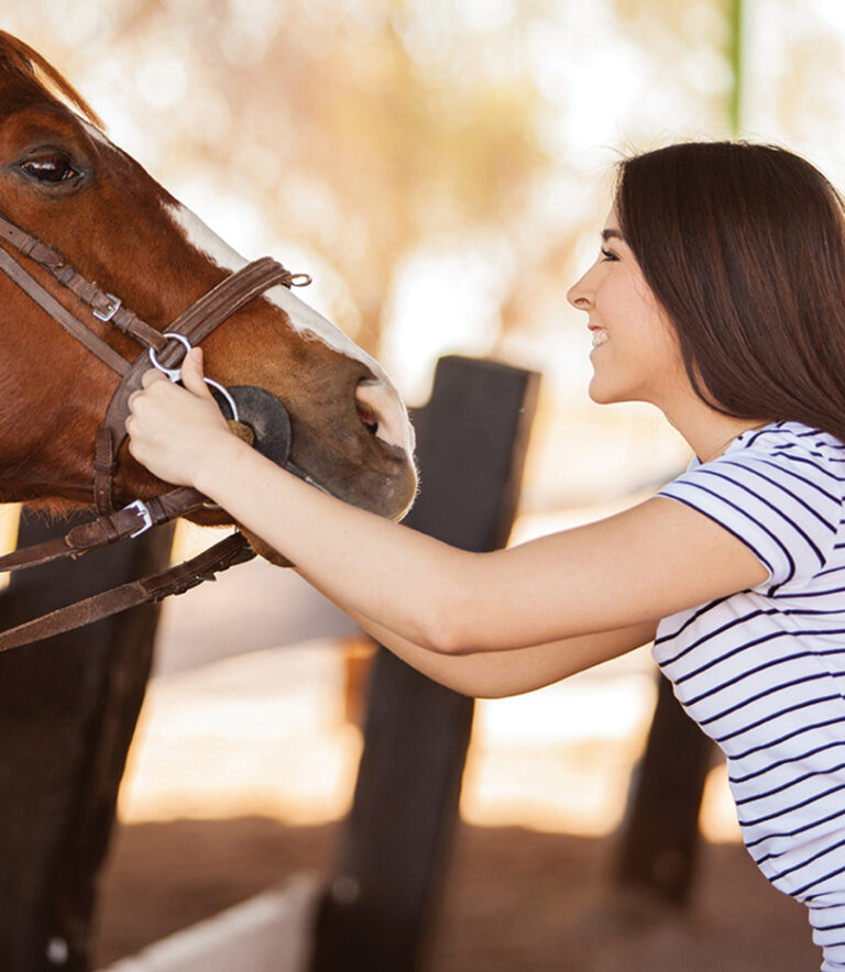 Equine Assisted Services - MKE Urban Stables